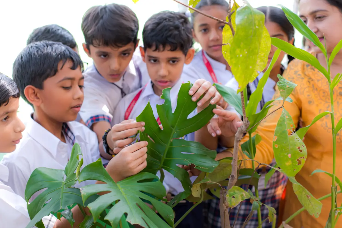 Why School plays an important role in a Child's Development ...